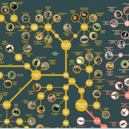 World History Charts - Informative timelines, posters & more World ...